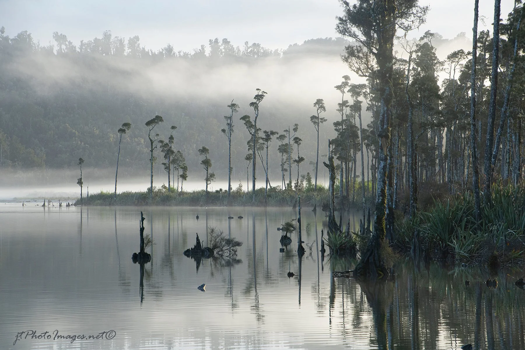 JT Whittaker — Gold Country Artists Gallery