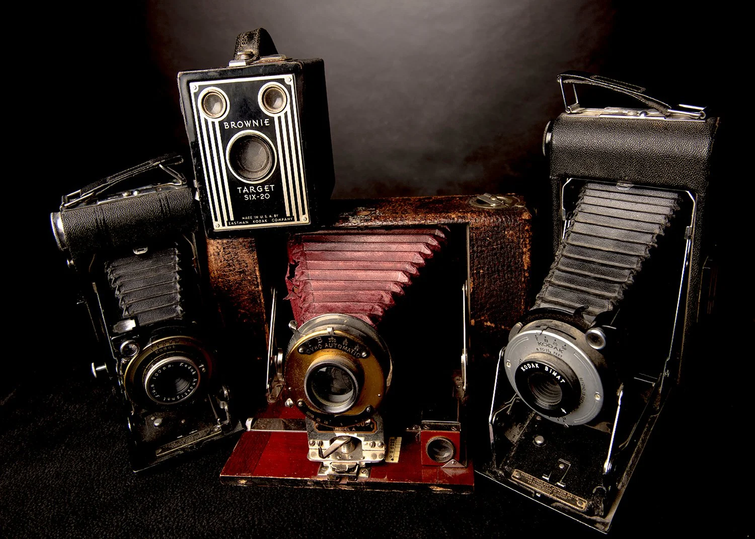 JT Whittaker — Gold Country Artists Gallery