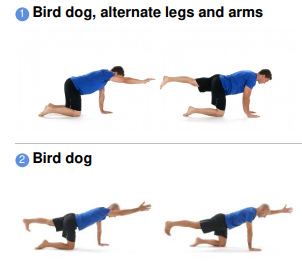 Best Exercises to Prevent Low Back Pain