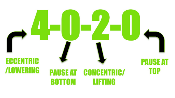 Tempo- What is it and how to use it in your exercise program — Leaner