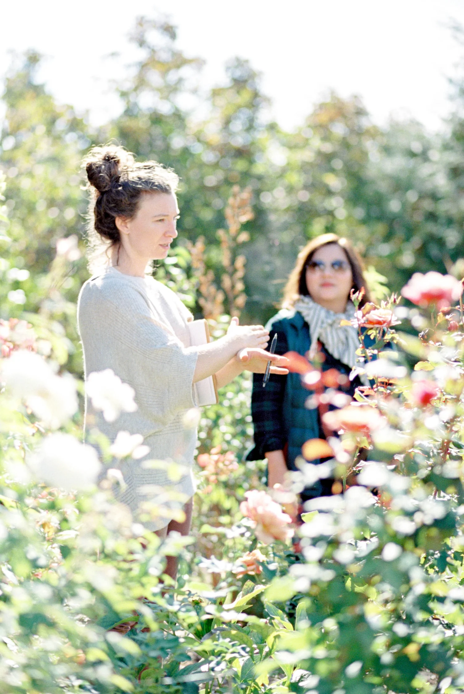 Tips on How to Plant a Cutting Garden — B.E