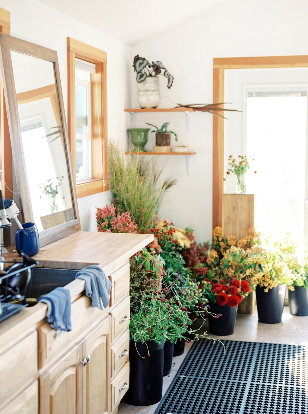 Tips on How to Plant a Cutting Garden — B.E