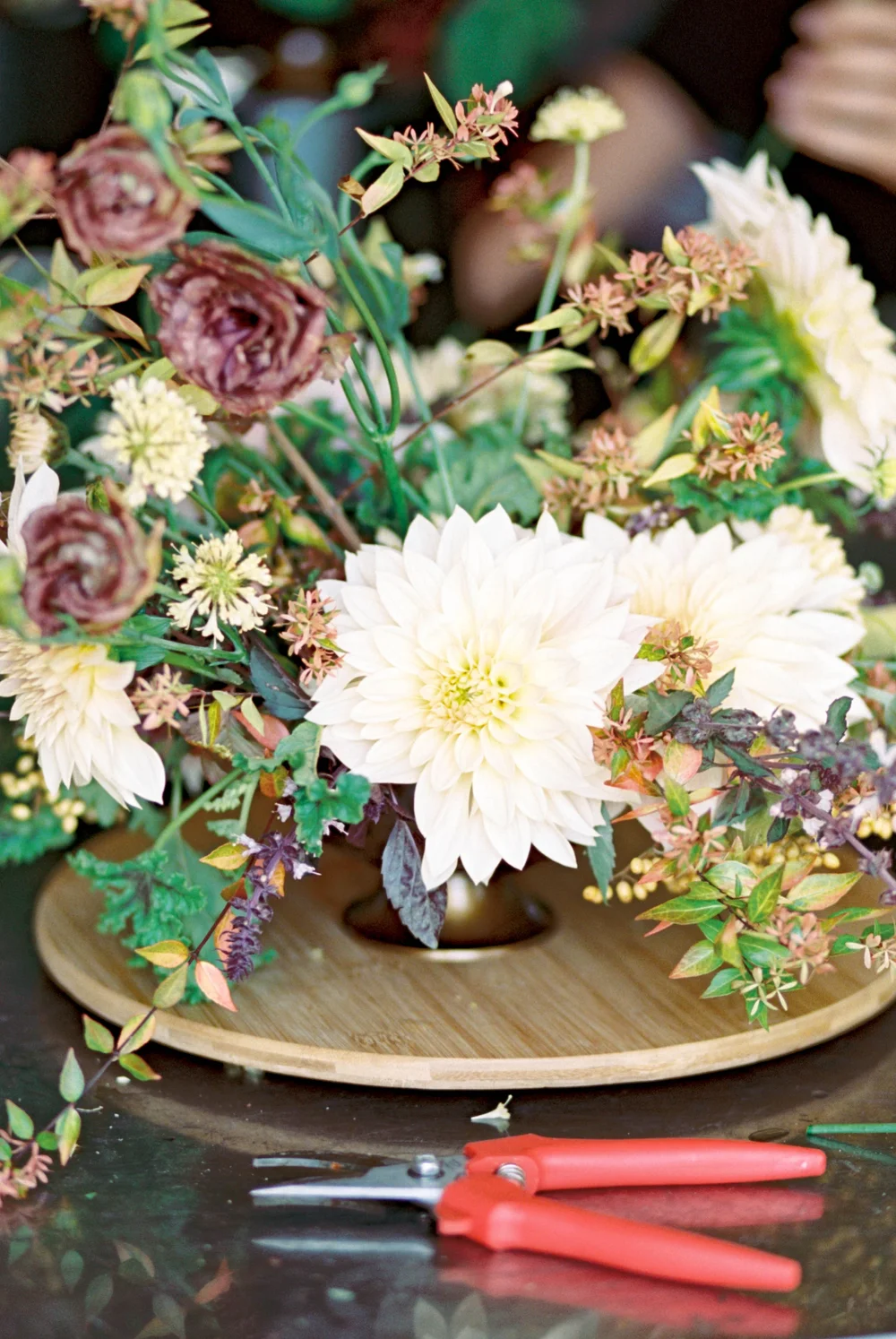 Tips on How to Plant a Cutting Garden — B.E