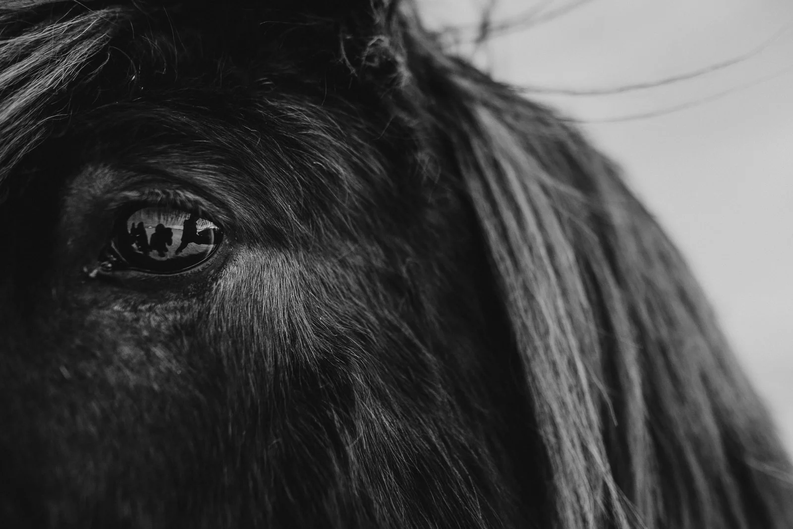 Paul Gandy Photography