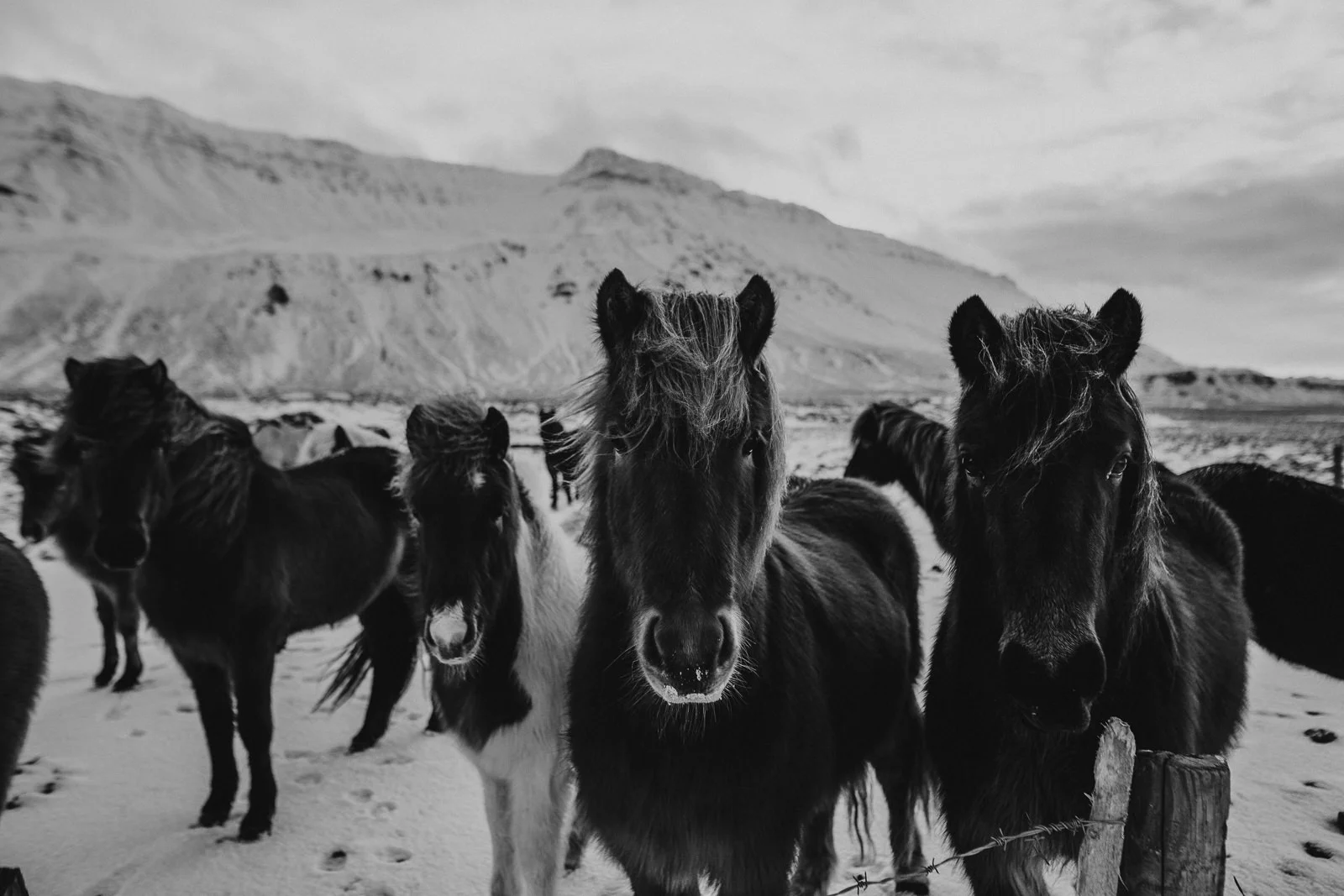 Paul Gandy Photography