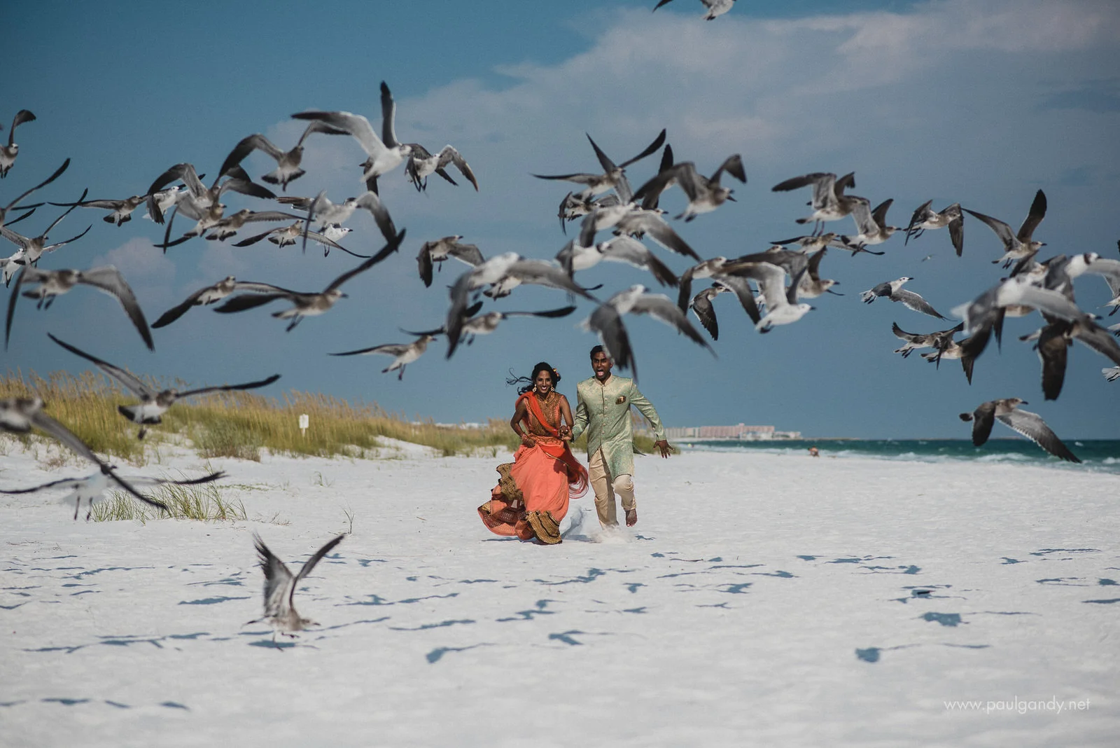 Paul Gandy Photography