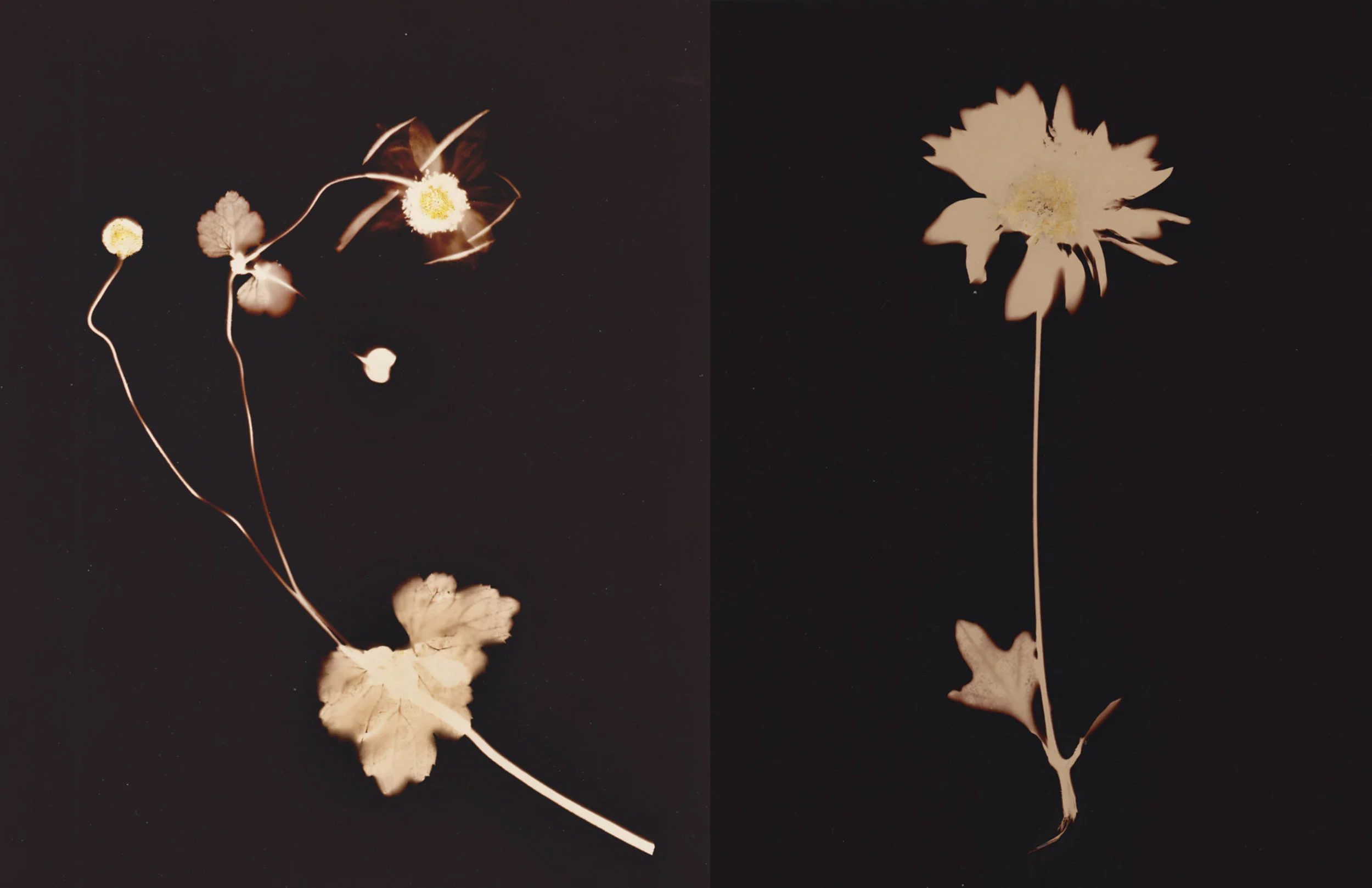 JENNIFER GLASS ARTIST