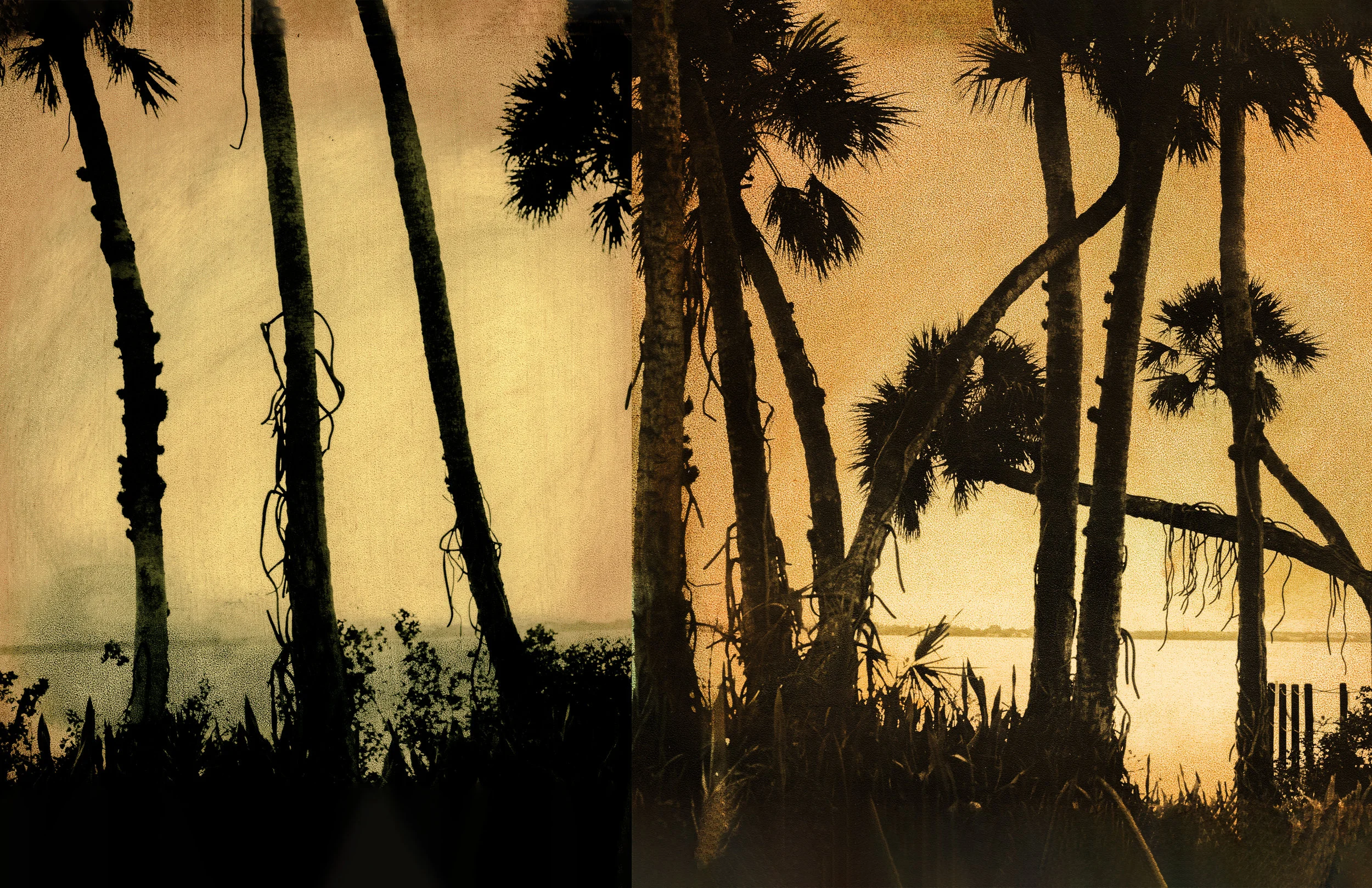 JENNIFER GLASS ARTIST