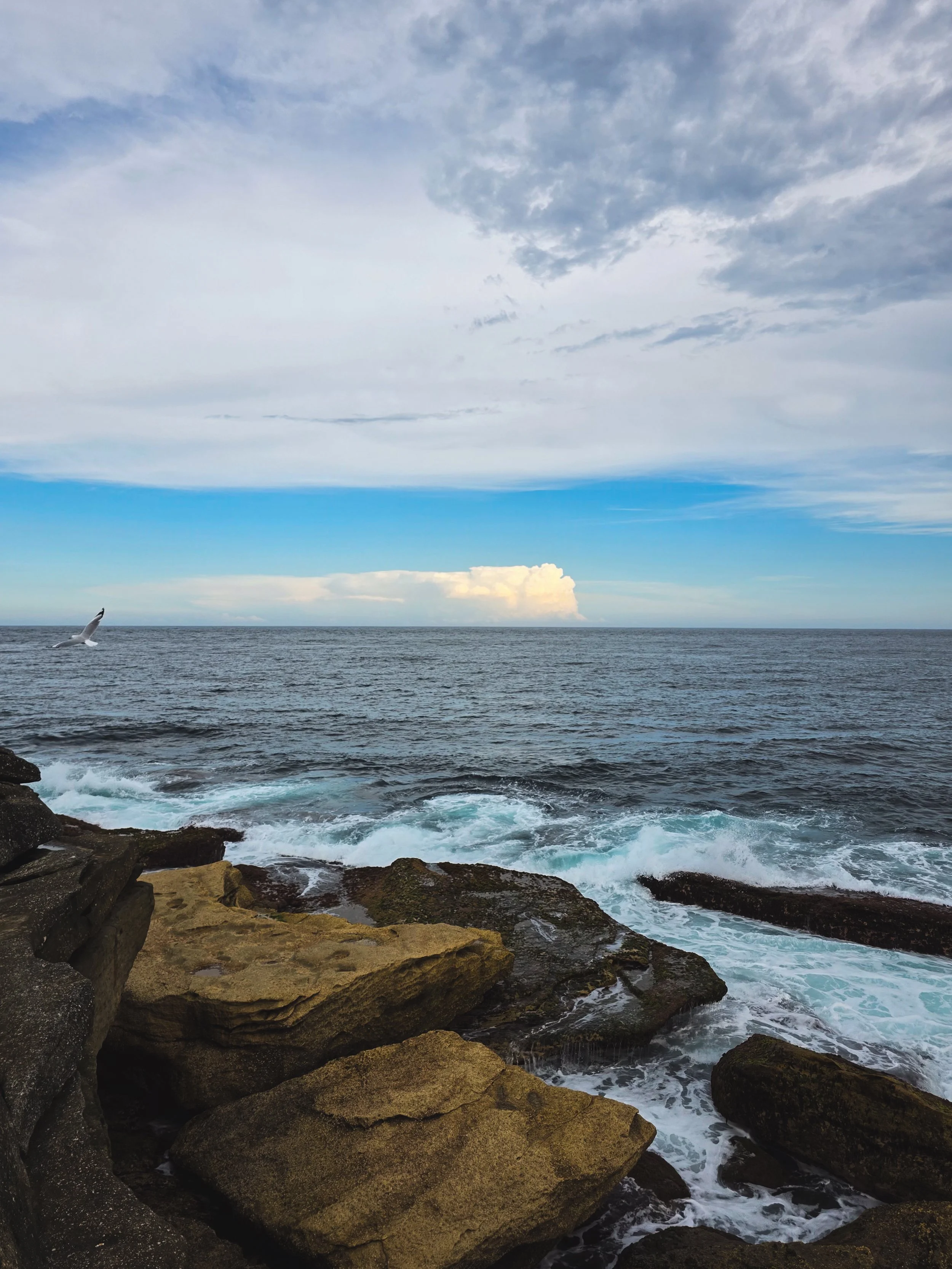 Samsung Galaxy S25 Ultra Camera & Photo Samples — itchban