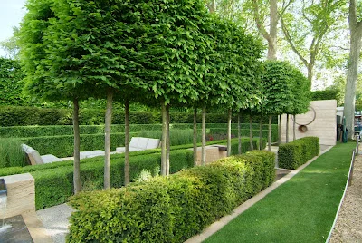 HEDGES — Todd Haiman Landscape Design