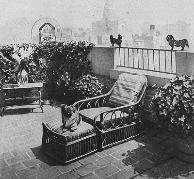 HISTORY OF THE ROOF GARDEN IN NEW YORK CITY — Todd Haiman Landscape Design