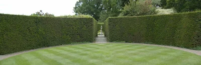 HEDGES — Todd Haiman Landscape Design