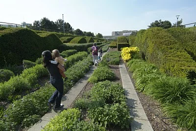 BROWNFIELD REMEDIATION — Todd Haiman Landscape Design