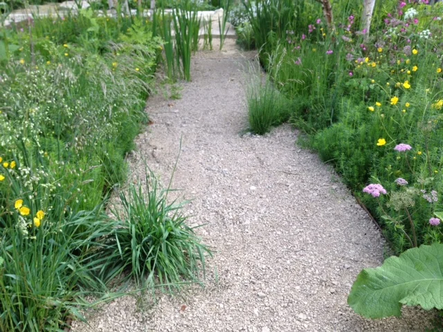 7 SOLUTIONS TO DRAINAGE PROBLEMS IN THE GARDEN — Todd Haiman Landscape ...