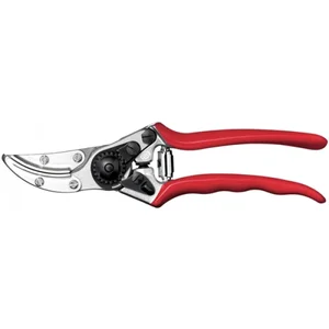 WHEN IS THE BEST TIME TO PRUNE? — Todd Haiman Landscape Design