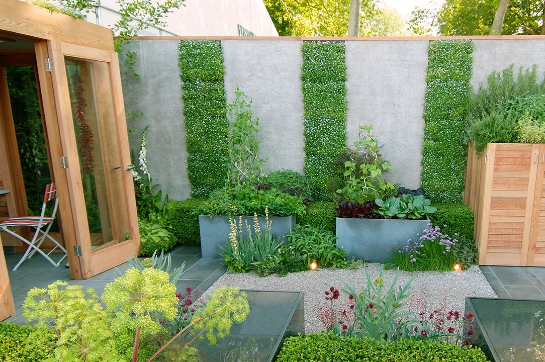 TIPS FOR VERTICAL GARDENING — Todd Haiman Landscape Design