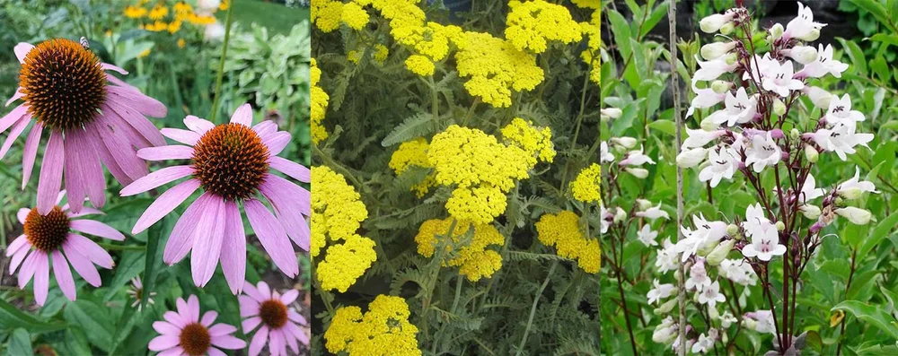 Terrace Garden Design — Todd Haiman Landscape Design
