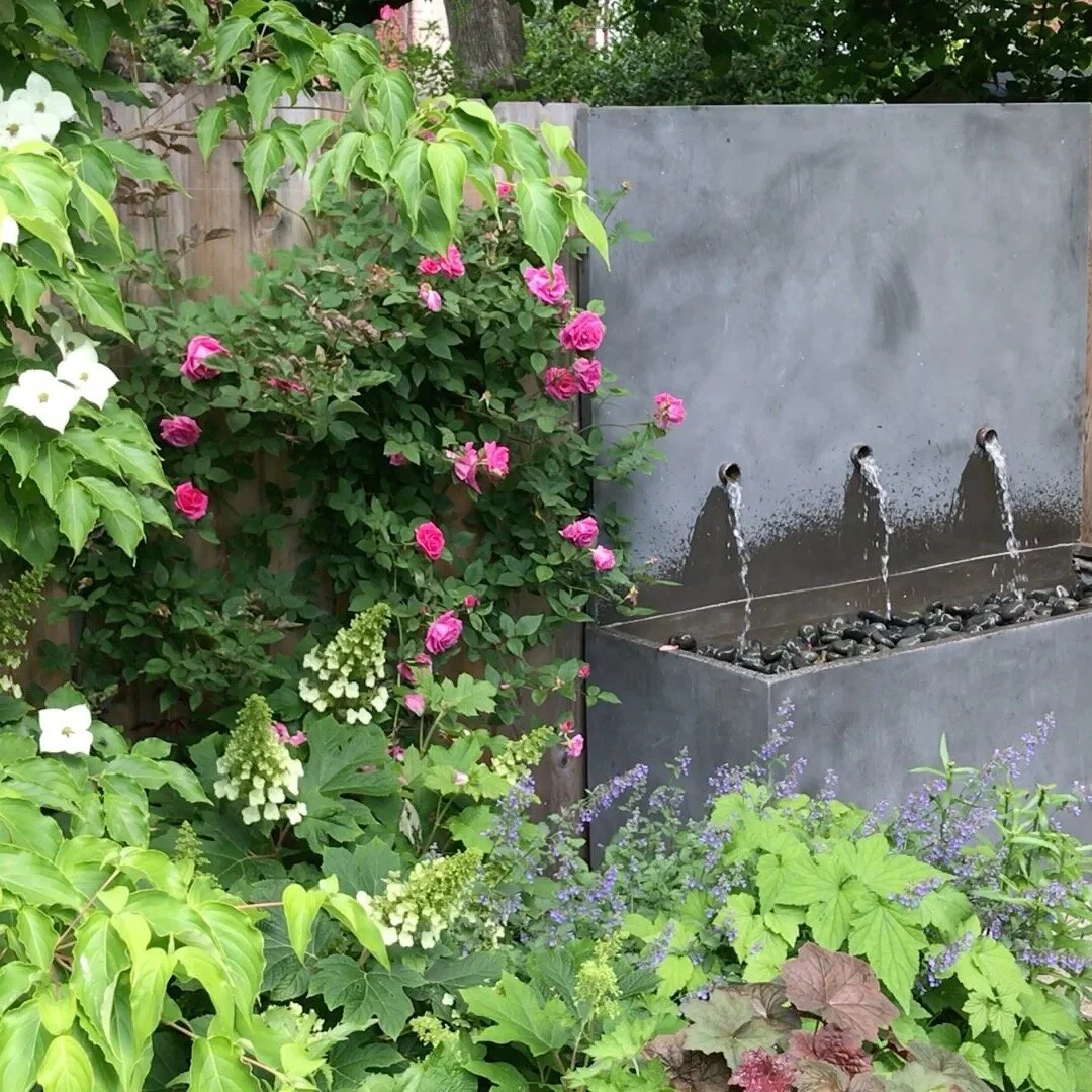 HORTUS CONCLUSUS — Todd Haiman Landscape Design