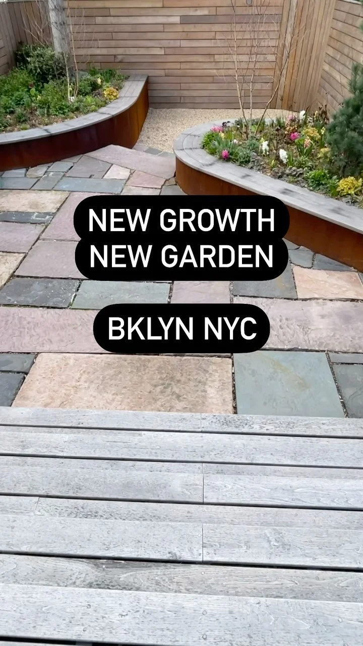 landscape design definition — Todd Haiman Landscape Design