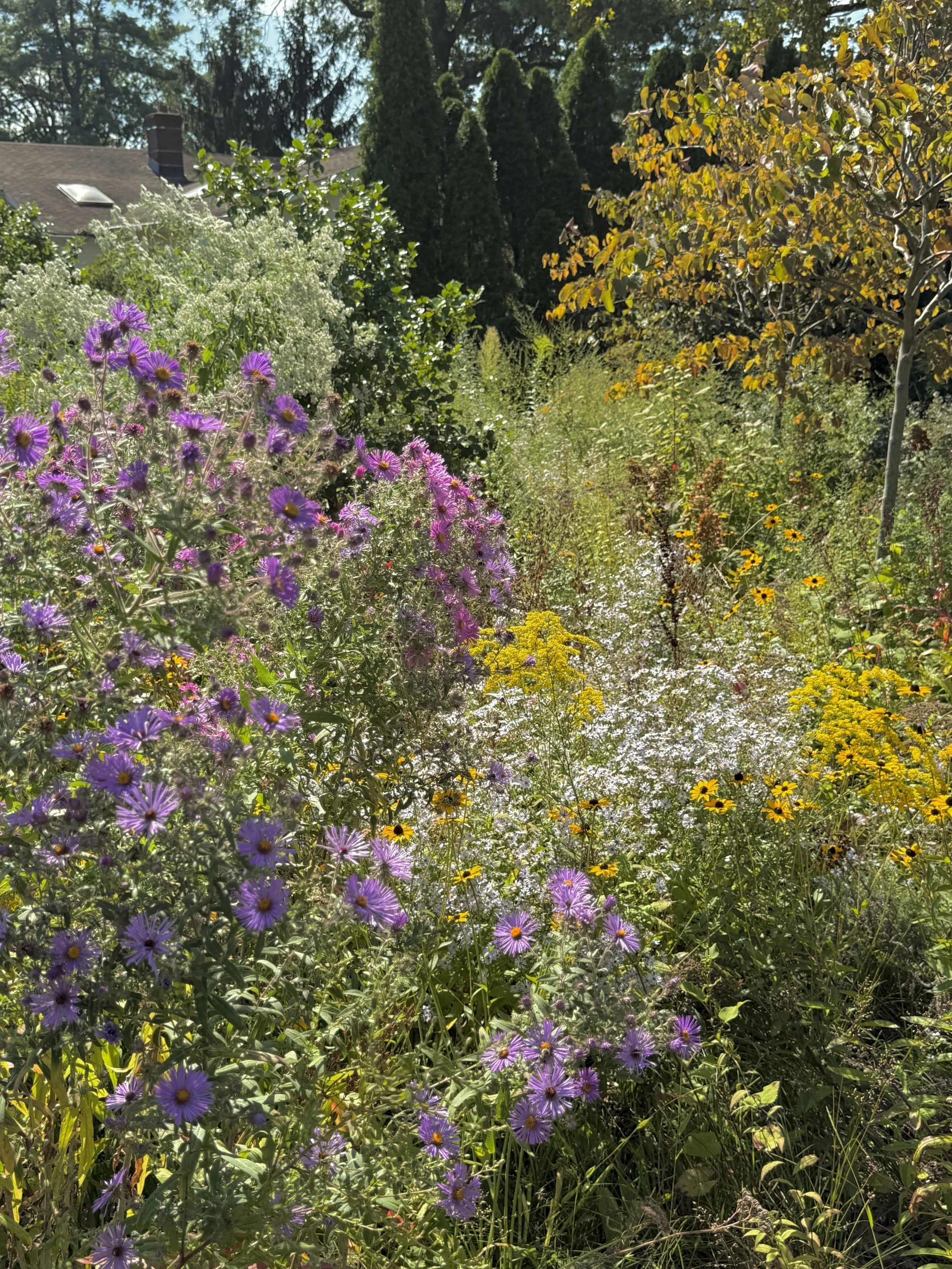 Northern New Jersey Residence — Todd Haiman Landscape Design