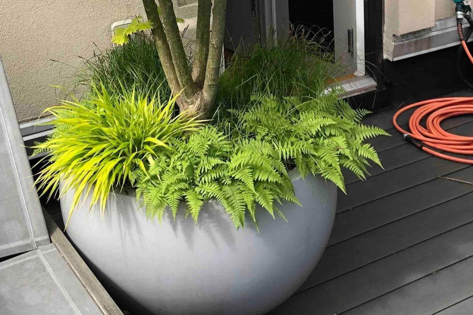 SMALL SPACE, HIGH IMPACT DESIGN FOR URBAN GARDENS — Todd Haiman ...