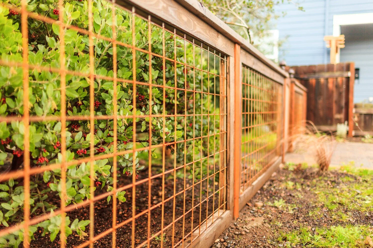 Fencing Design Install — Portland Landscape Contractor | Grasstains