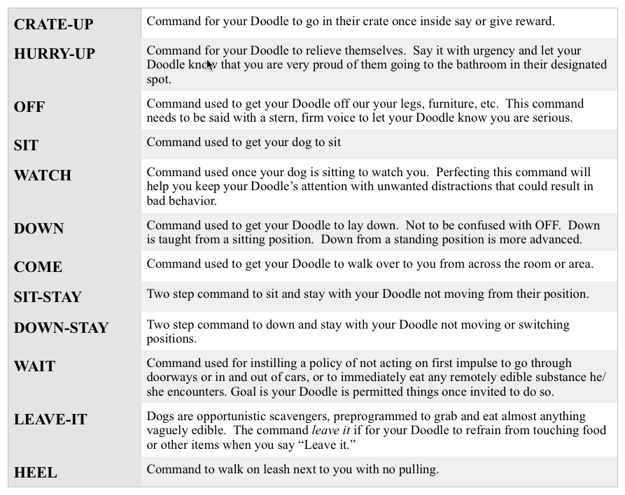 Dog Commands — Sugar Pine Doodles, Australian Labradoodles