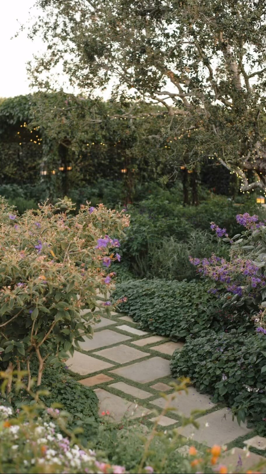 Michelle & Mark — Event of the Season