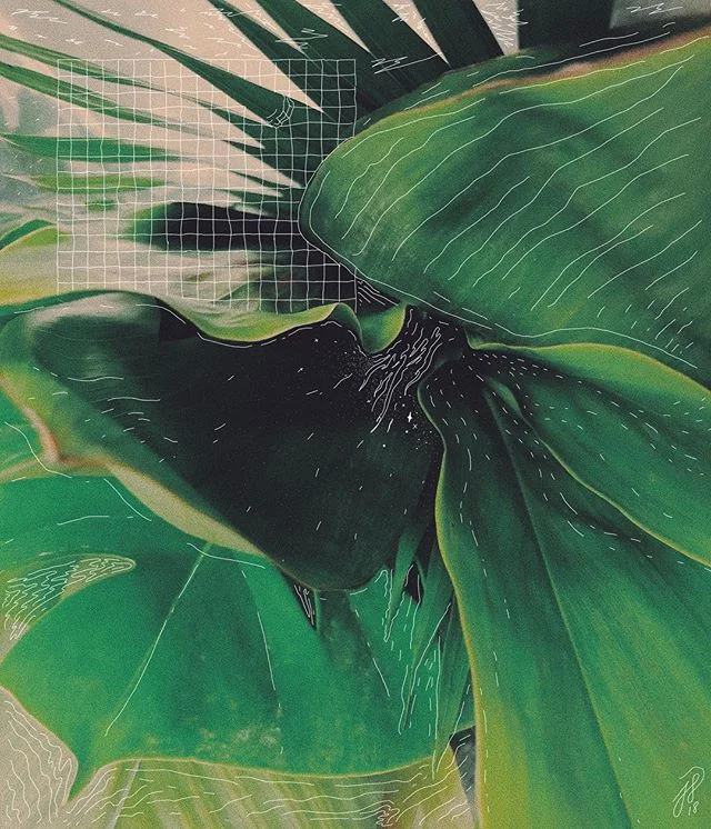 About — Jonathan Swinney