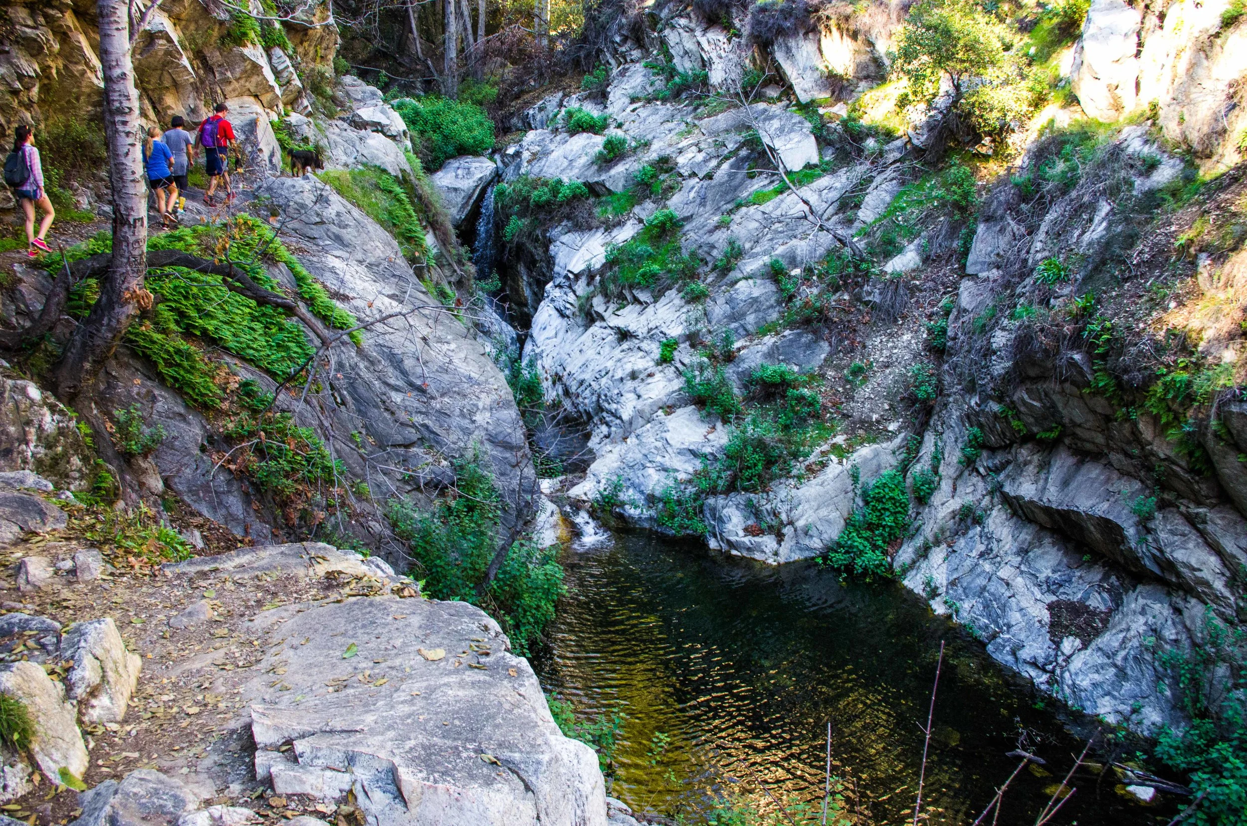 Santa Anita Hiking Waterfall