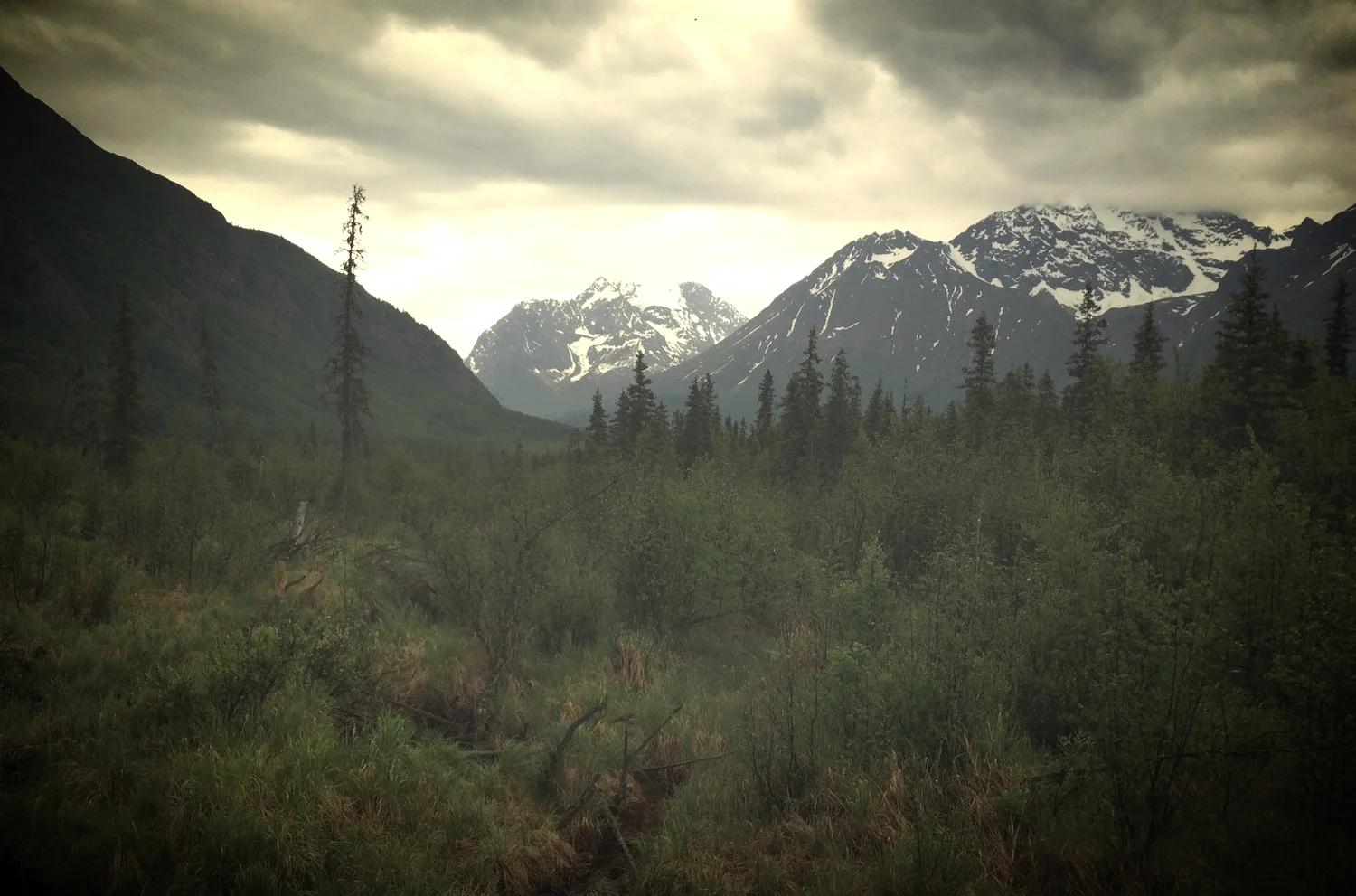 What if we believed that shame is actually the compass? — Gretchen ...