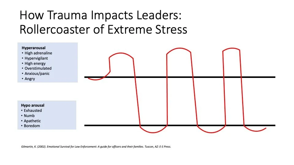 Recovery and Repair for Healthcare Providers: Returning to 'Functional ...