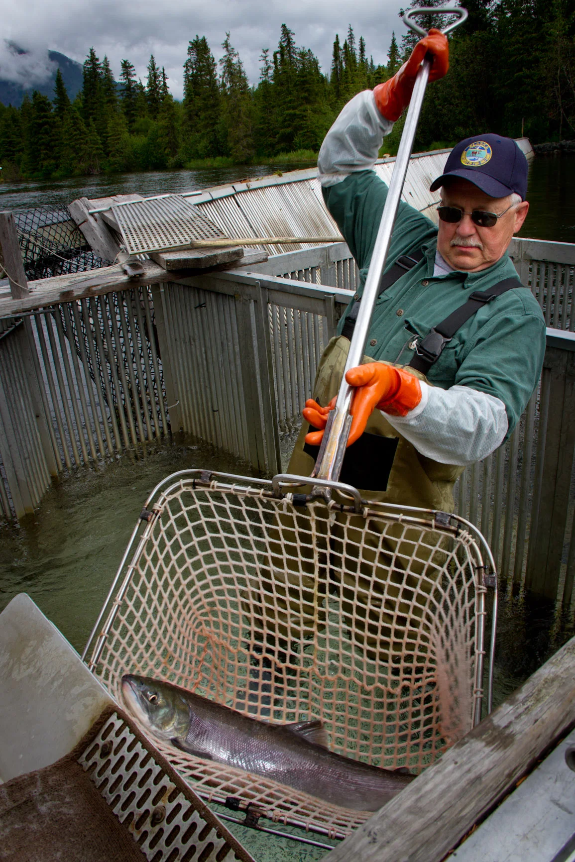 Alaska's Fish Fixation: Investing in the Wild — Tara Champion ...