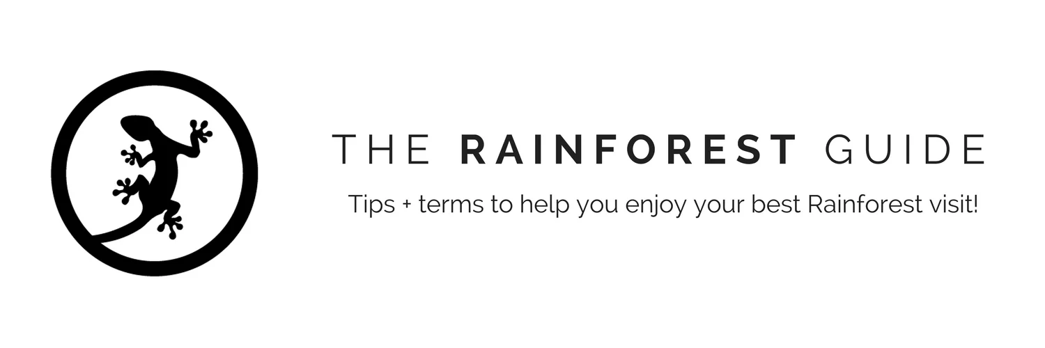 The Rainforest Guide