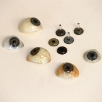 Services — Boston Ocular Prosthetics, Inc.
