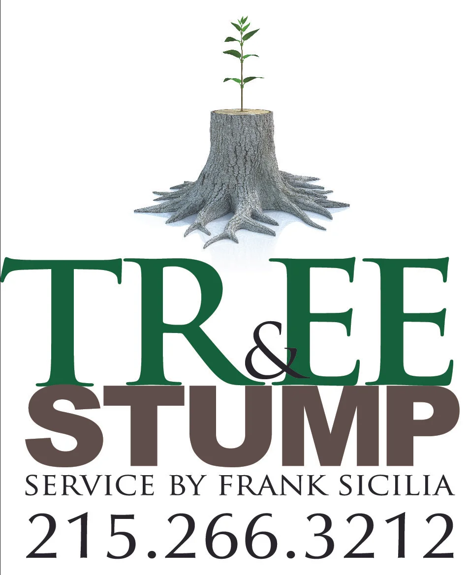 Event Branding & Logos Kim Bensing Design — Kim Bensing Design