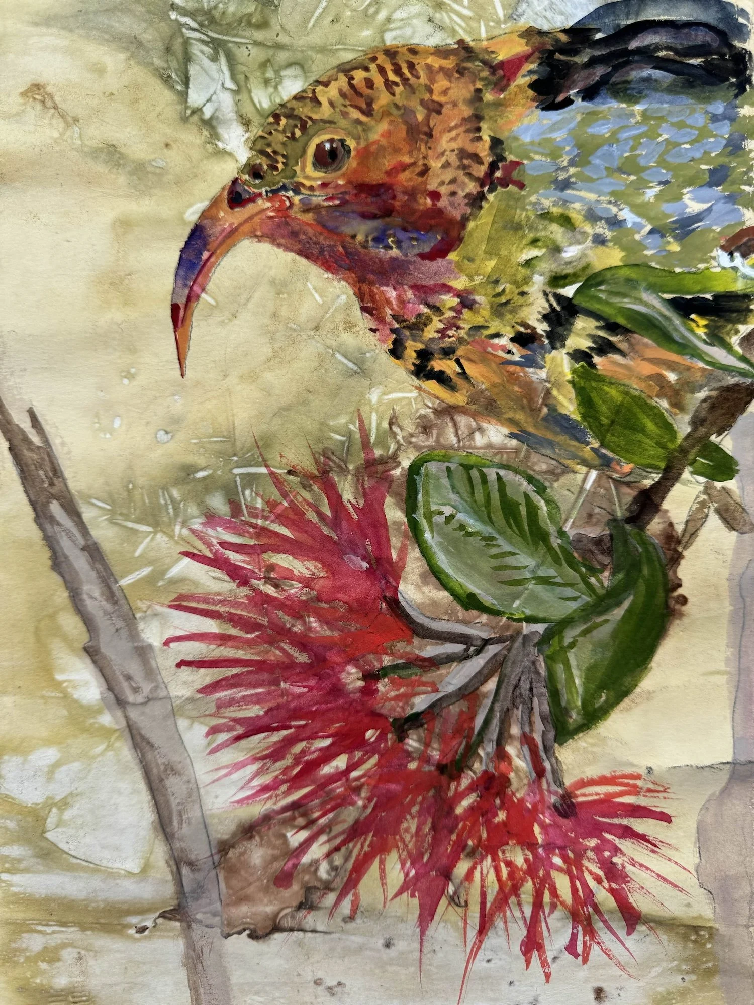 2024 Open Exhibit Selections & Winners — Hawai`i Watercolor Society