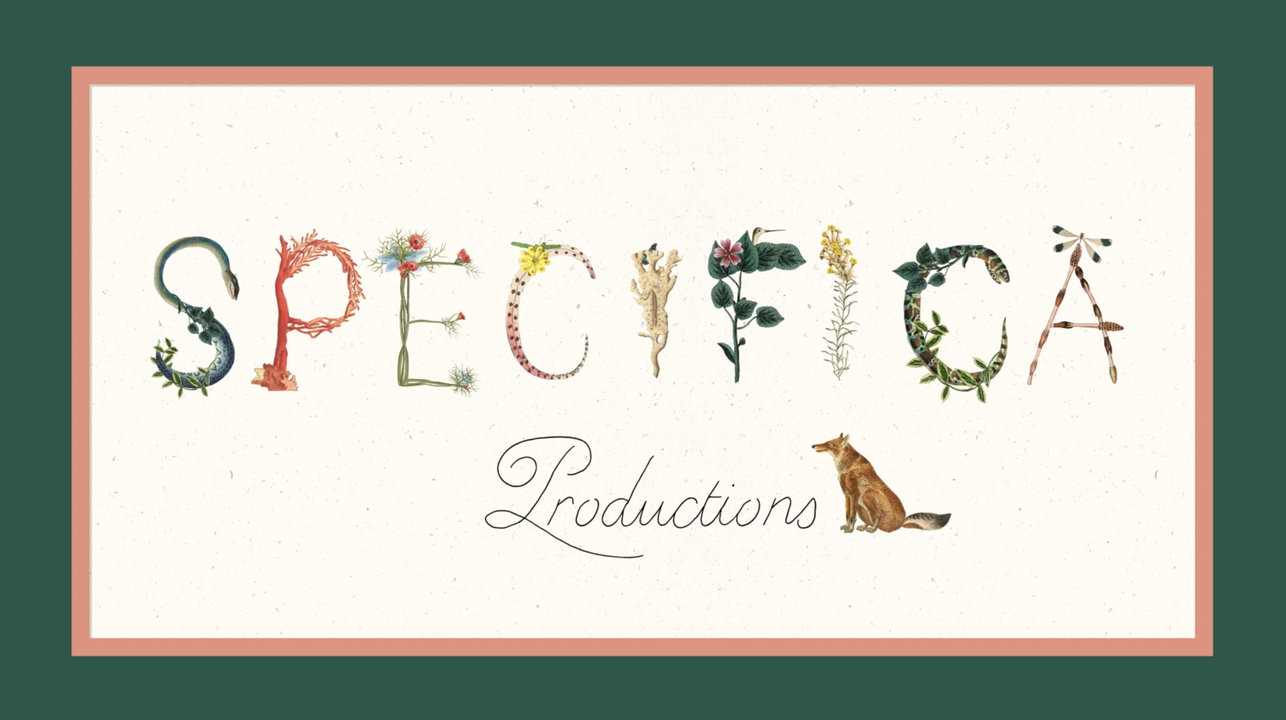 Motion GFX — Jordan Bruner