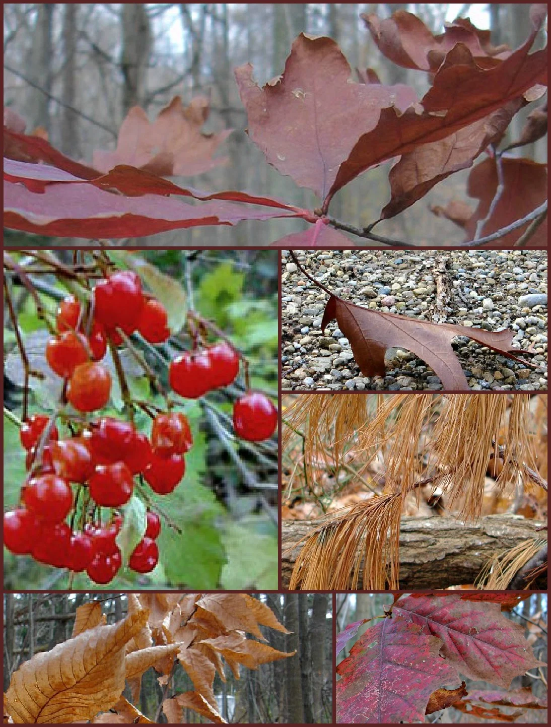 Our Inn — The White Rabbit Inn