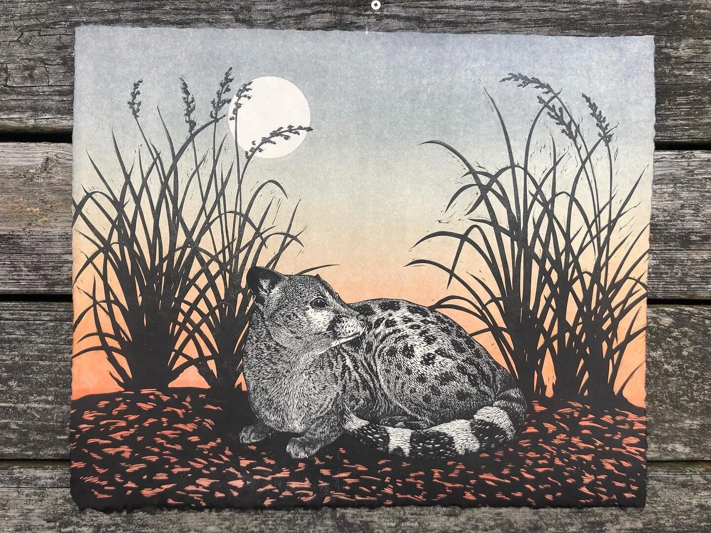 Briony Morrow-Cribbs, Vermont Artist, Printmaker, Illustrator — Briony ...