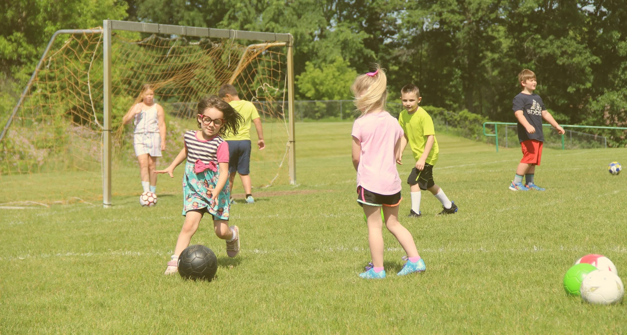 Howell Area Parks & Recreation Authority