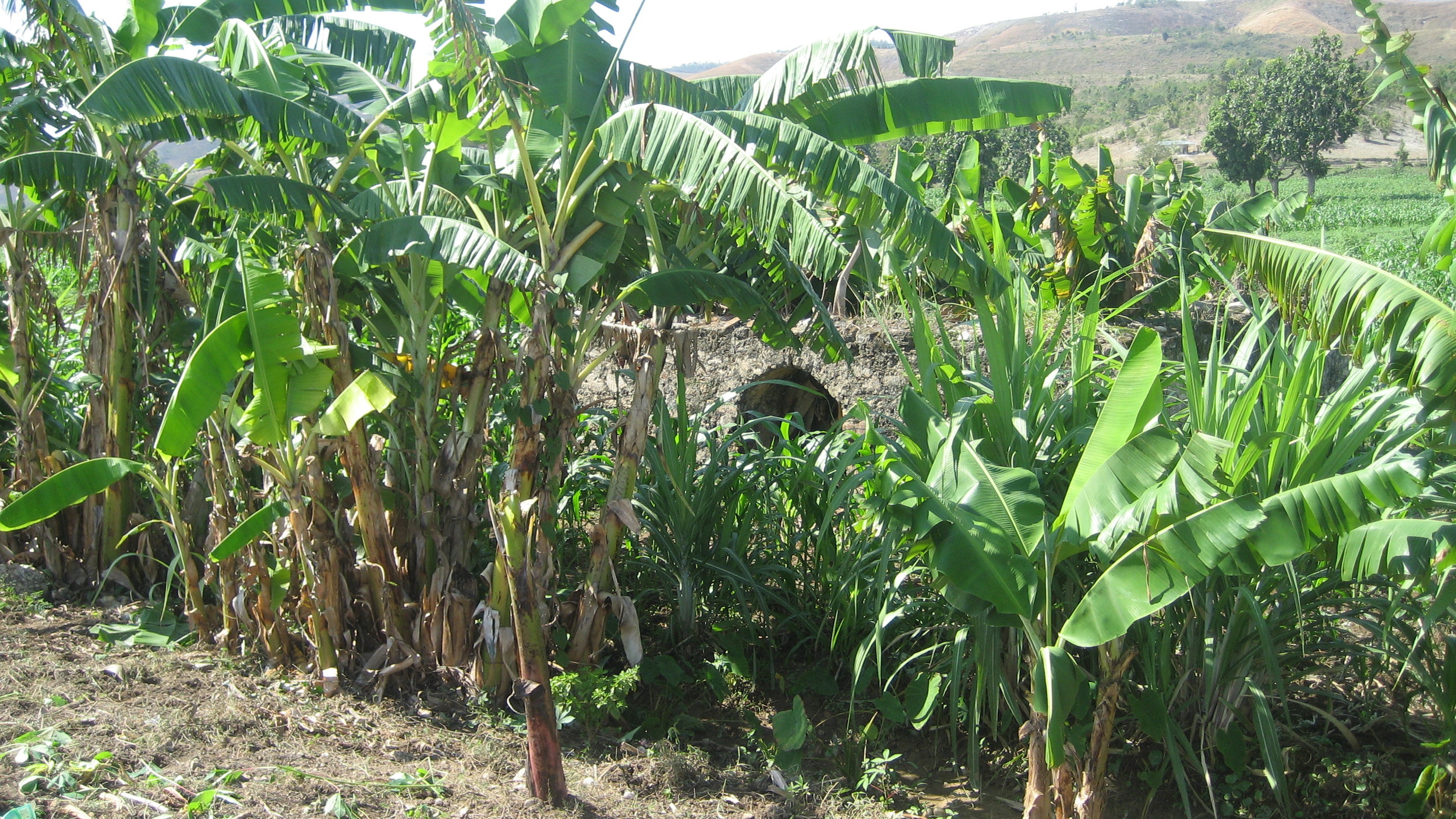Verrettes/Deschapelles area — Mapping Haitian History