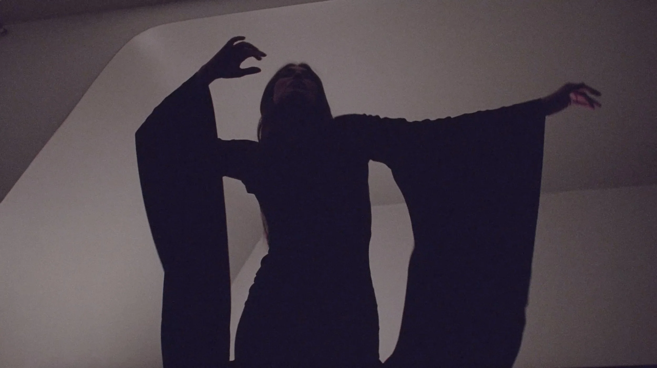 Porsche Luggage DE — marz miller