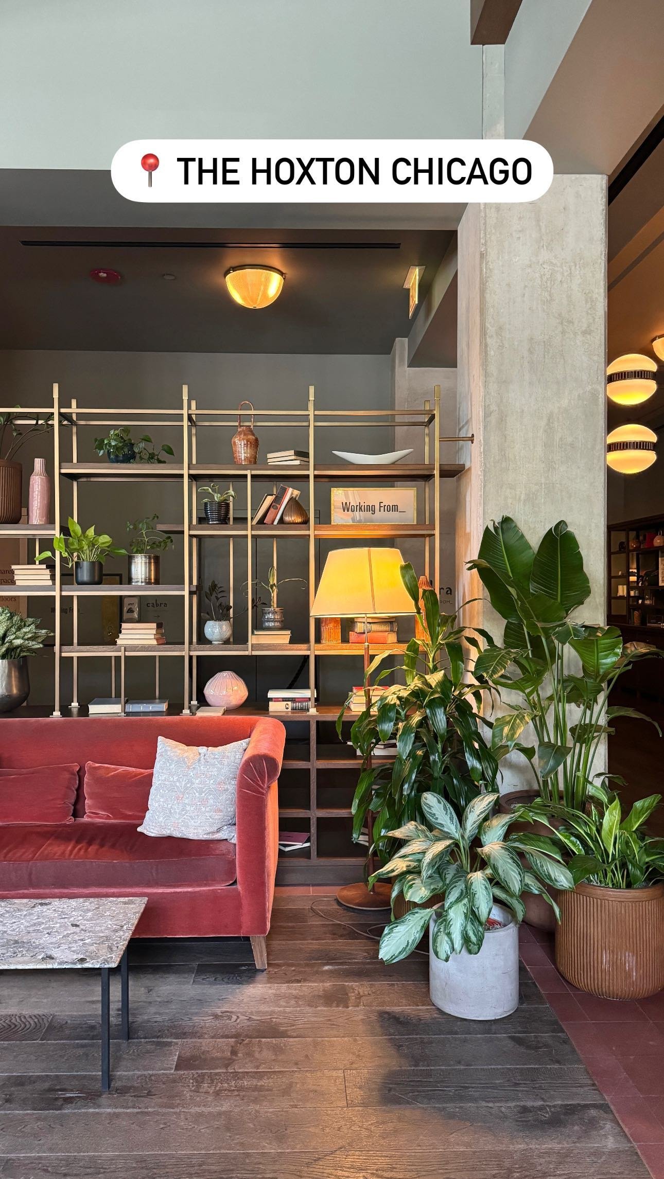 Snapcams New For 2020