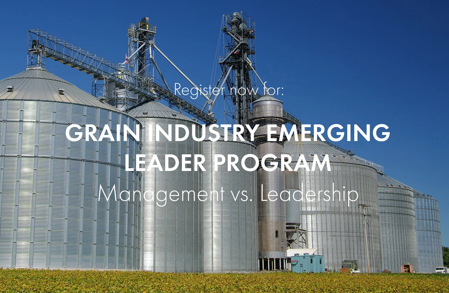 Grain Industry Emerging Leader Program: Management vs. Leadership (In ...