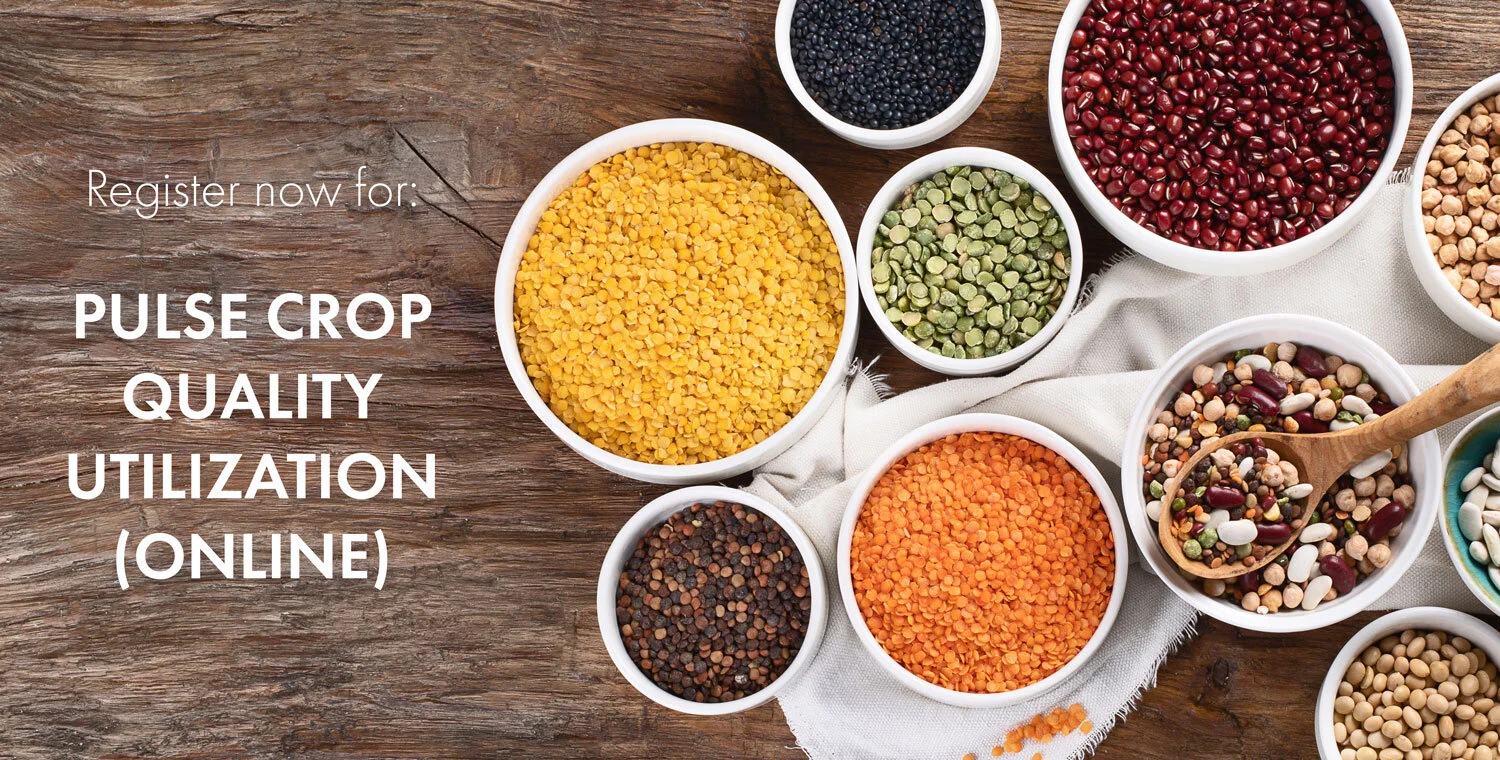 Pulse Crop Quality Utilization (Online) — Northern Crops Institute