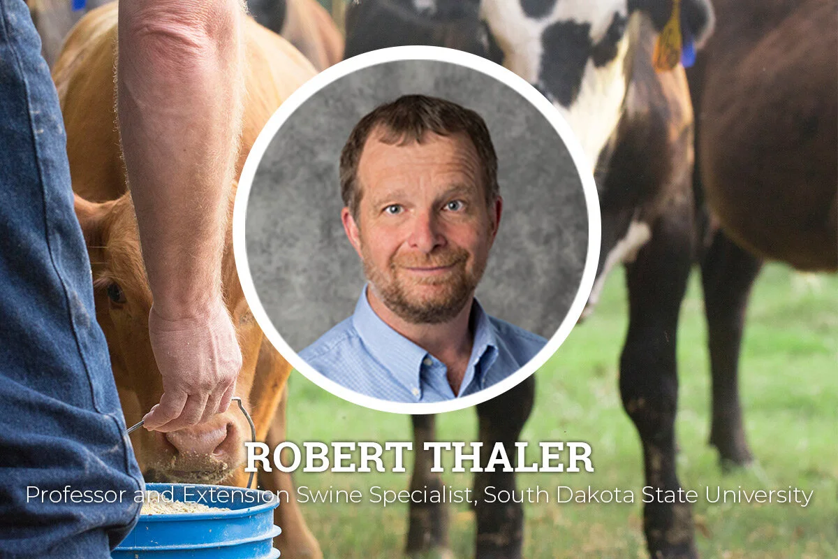 Webinars — Northern Crops Institute