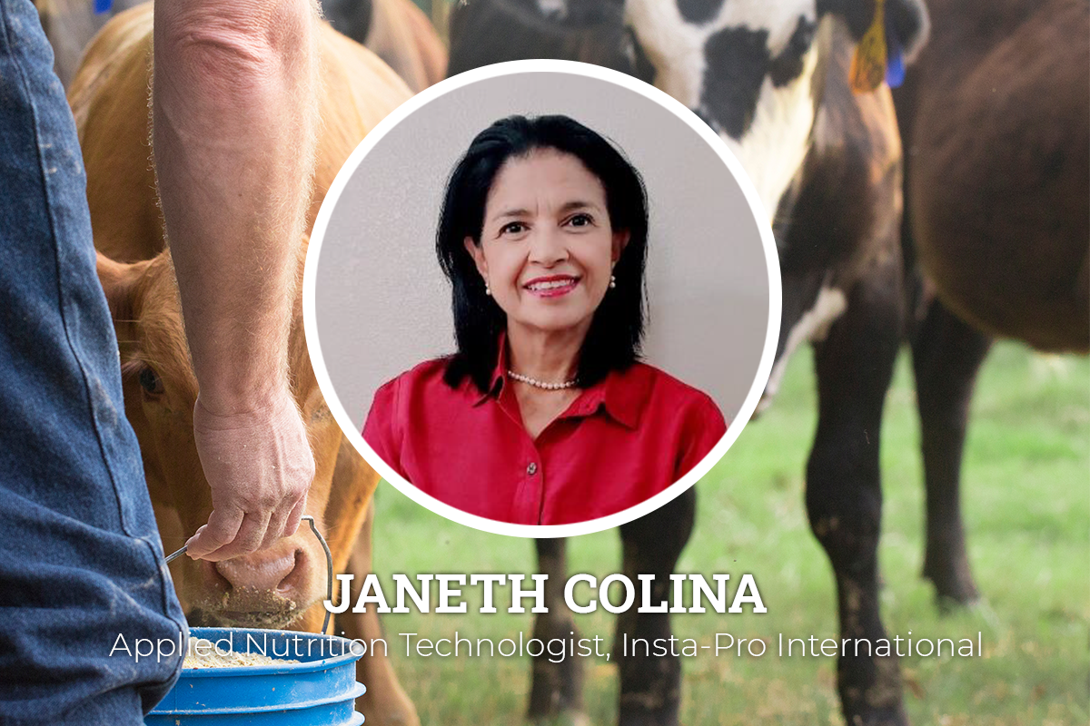 Webinars — Northern Crops Institute