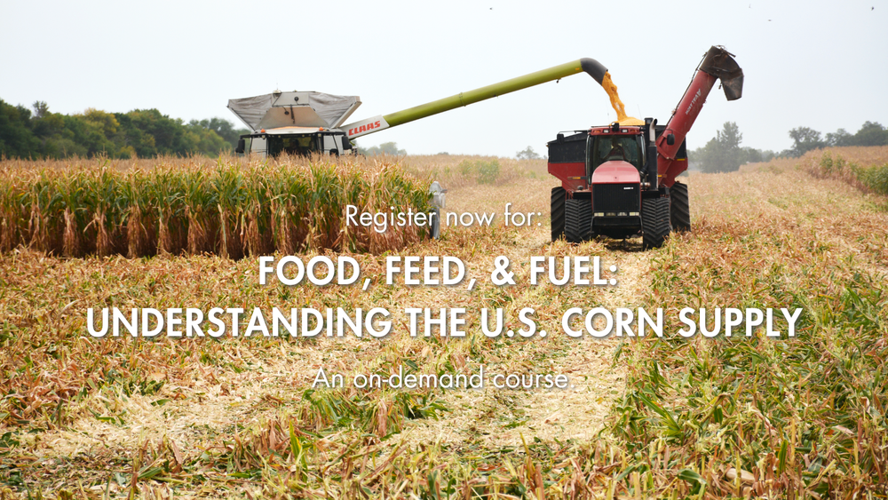 Food, Feed, and Fuel: Understanding the U.S. Corn Supply — Northern ...