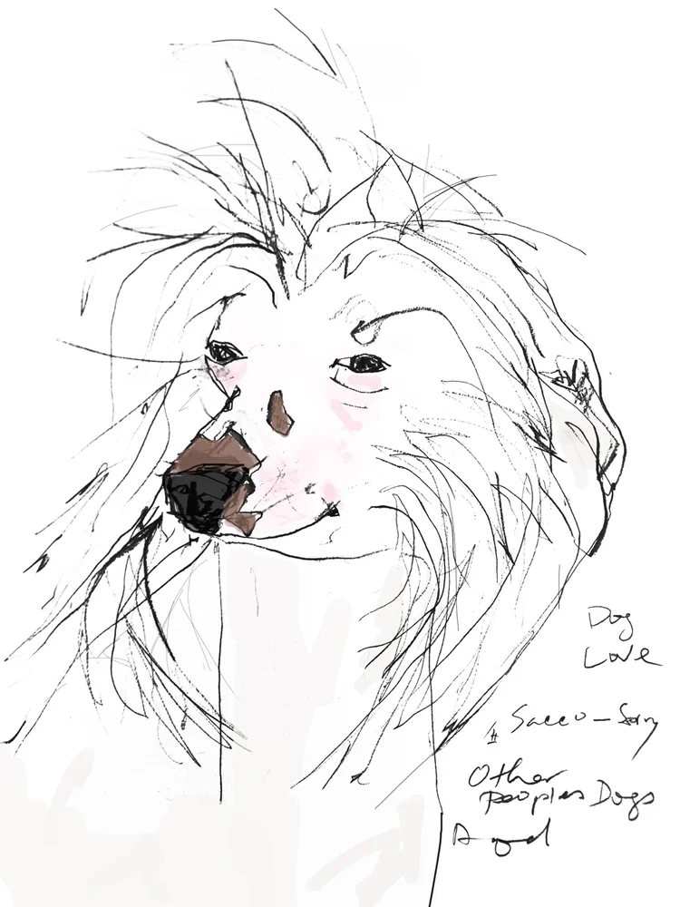 Ann DeVito has a way with illustrating dogs — SUZANNE DONALDSON